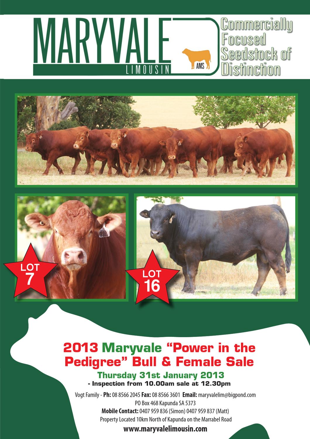 2013 Maryvale Flyer by BizBoost - Issuu