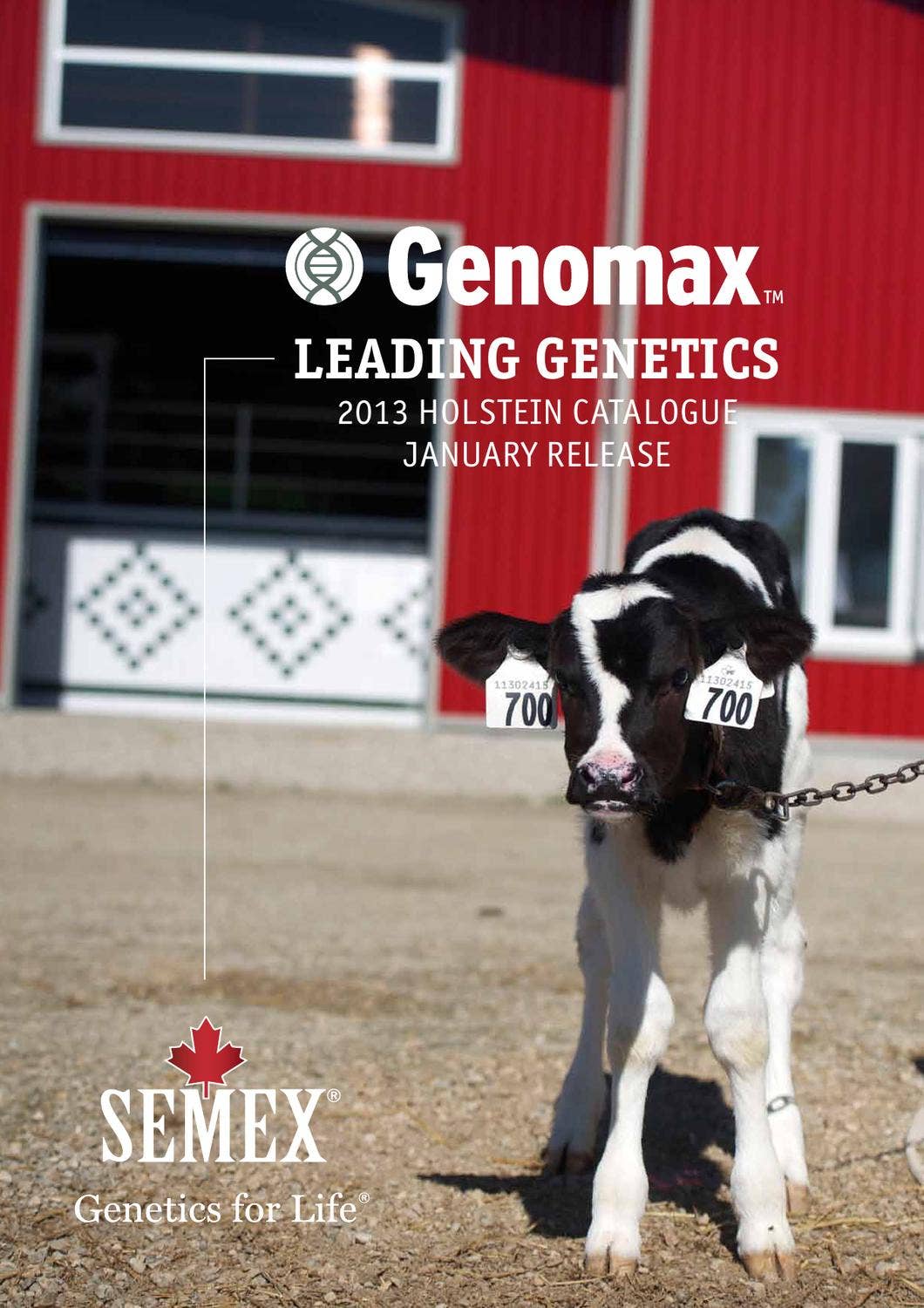 Semex Australia January 2013 Holstein Genomax New Release Catalogue by ...
