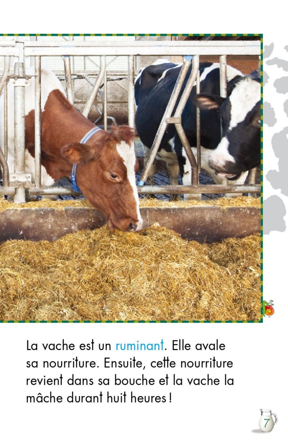 Colimaçon_La vache laitière by Les Éditions CEC - Issuu