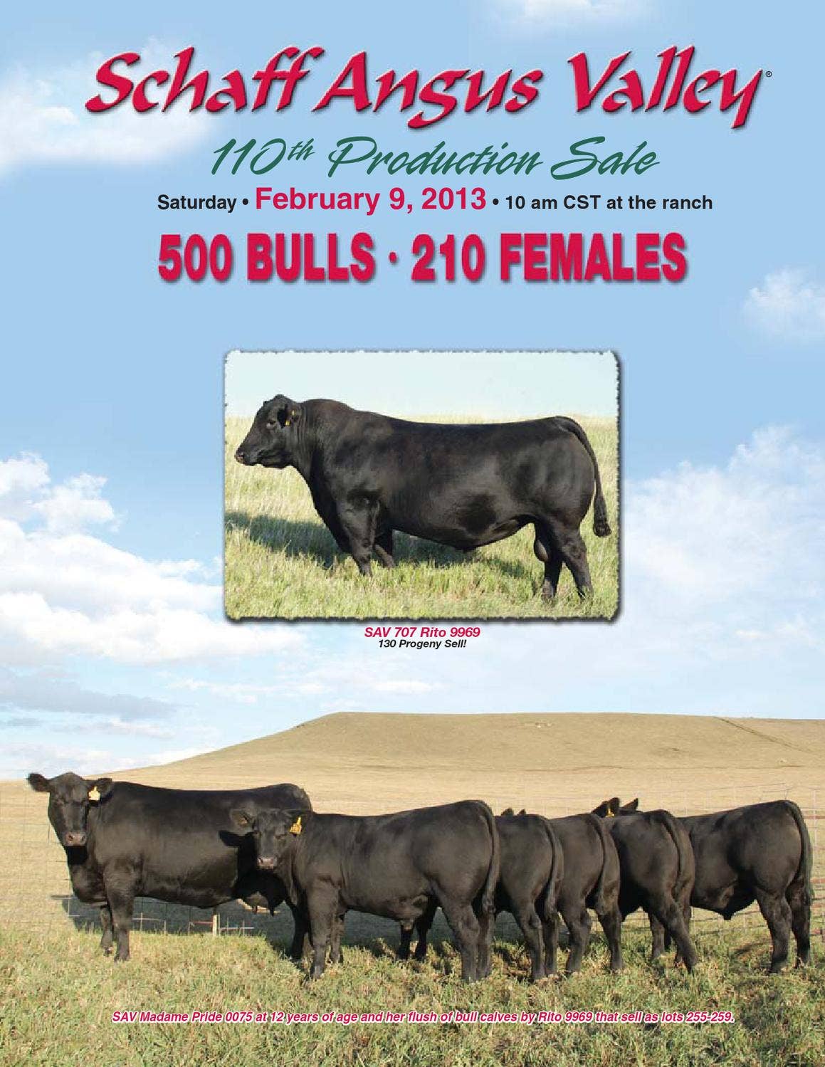 Schaff Angus Valley - 110th Production Sale by LivestockDirect - Issuu
