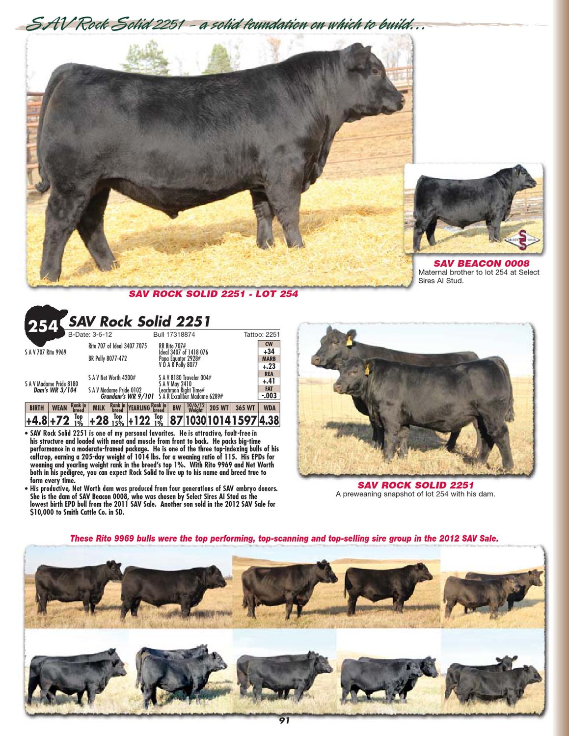 Schaff Angus Valley - 110th Production Sale by LivestockDirect - Issuu