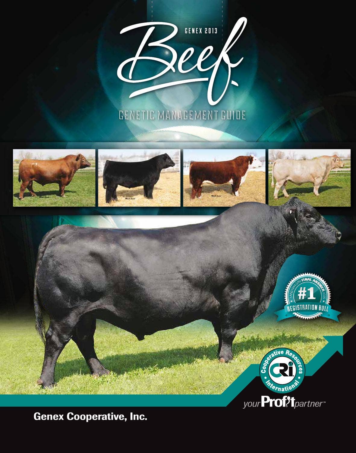 2013 Beef Management Guide by GENEX - Issuu