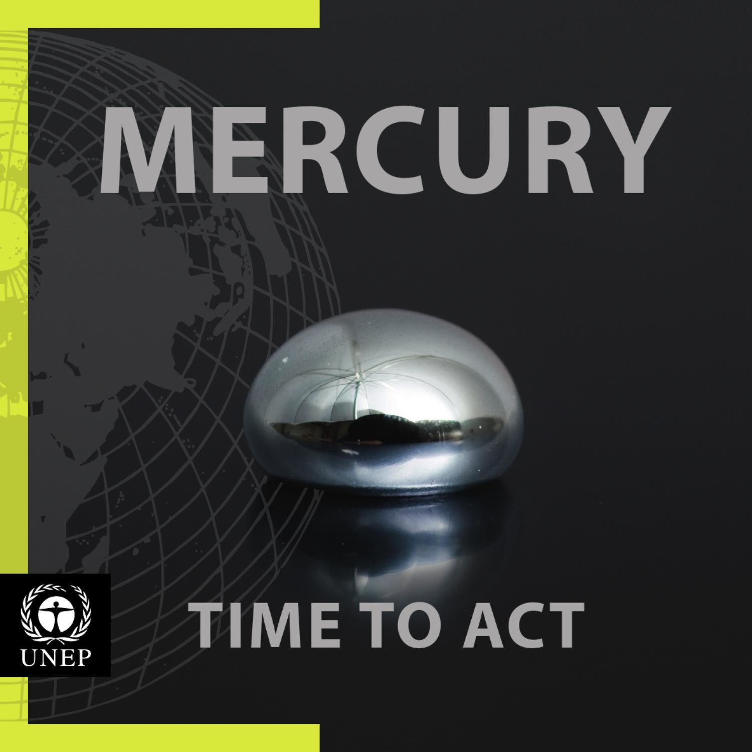 Mercury - Time to act by Zoï Environment Network - Issuu