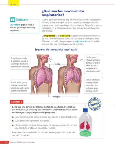 Ciencias Naturales Quinto Año 2013 by juan albornoz - Issuu