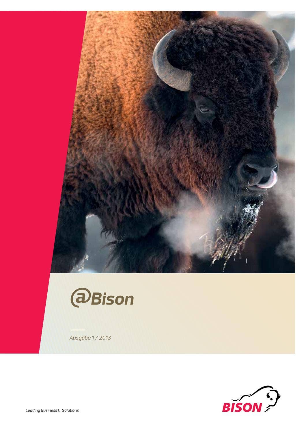 @Bison 1/2013 by Bison Schweiz AG - Issuu