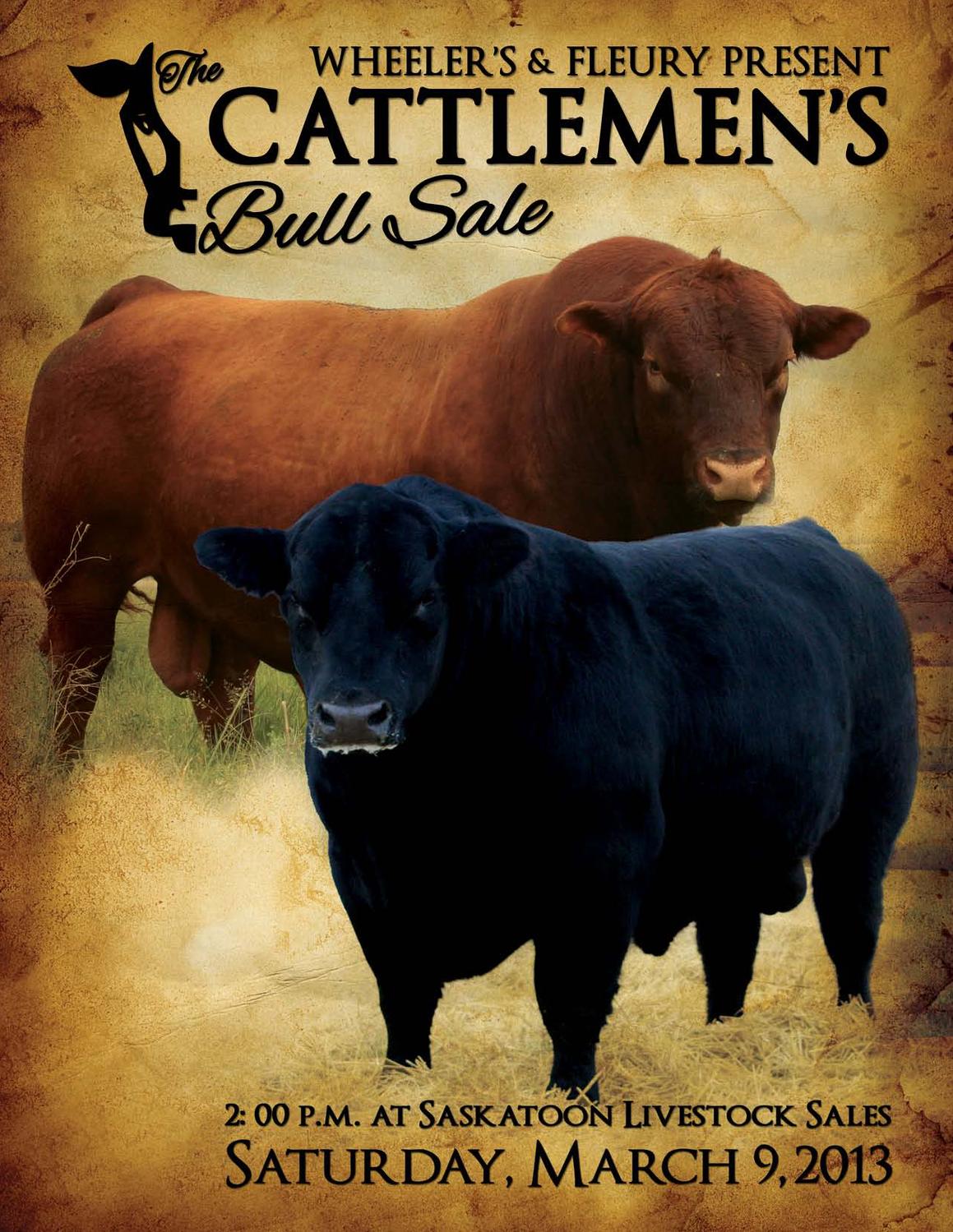 Cattlemen's Bull Sale by Bohrson Marketing Services Ltd. - Issuu