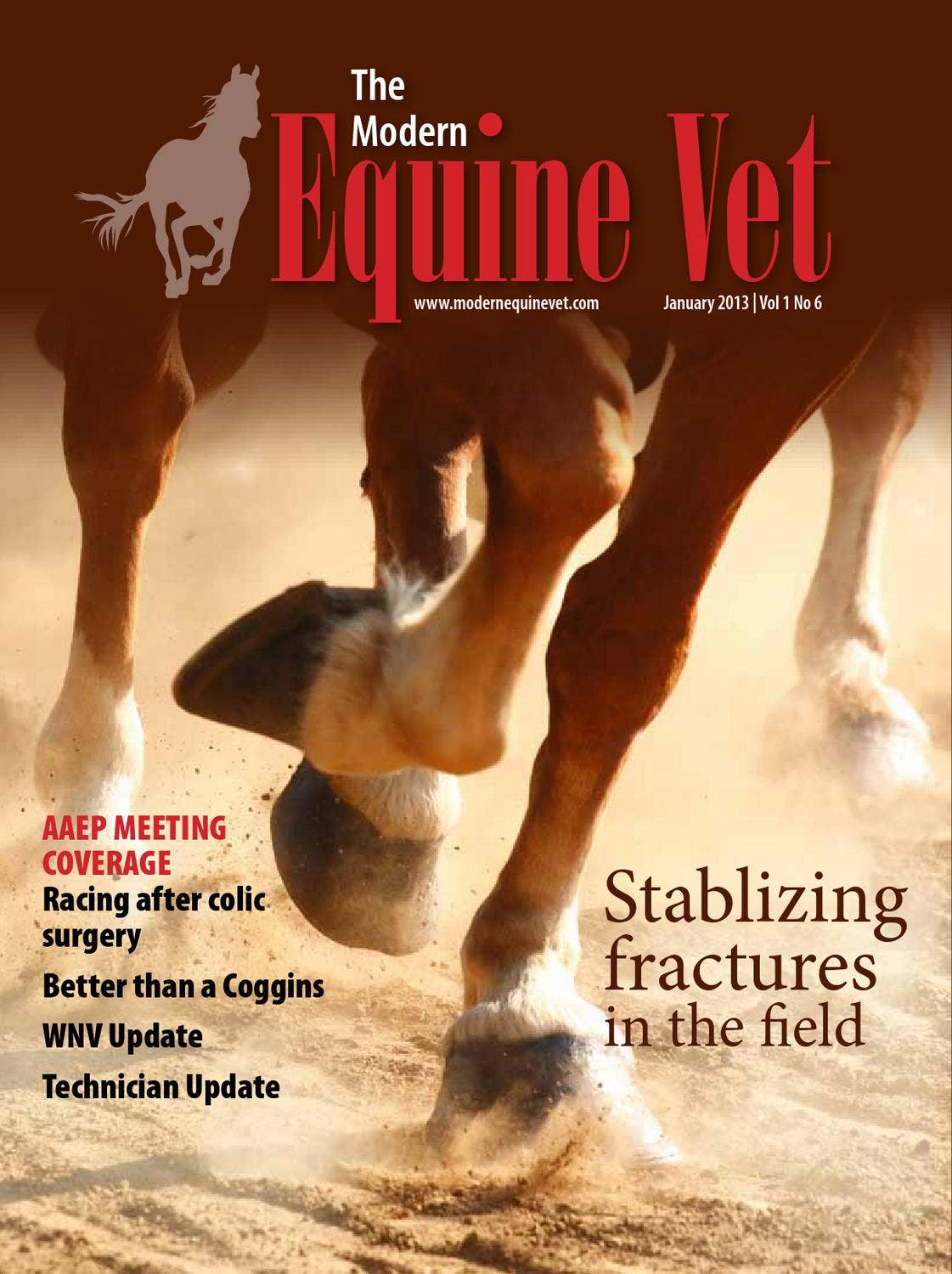 TheModernEquineVet_Jan13V1N6 by The Modern Equine Vet - Issuu