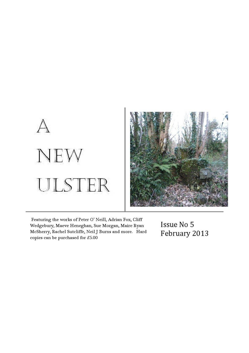 A New Ulster issue 5 by Amos Greig - Issuu