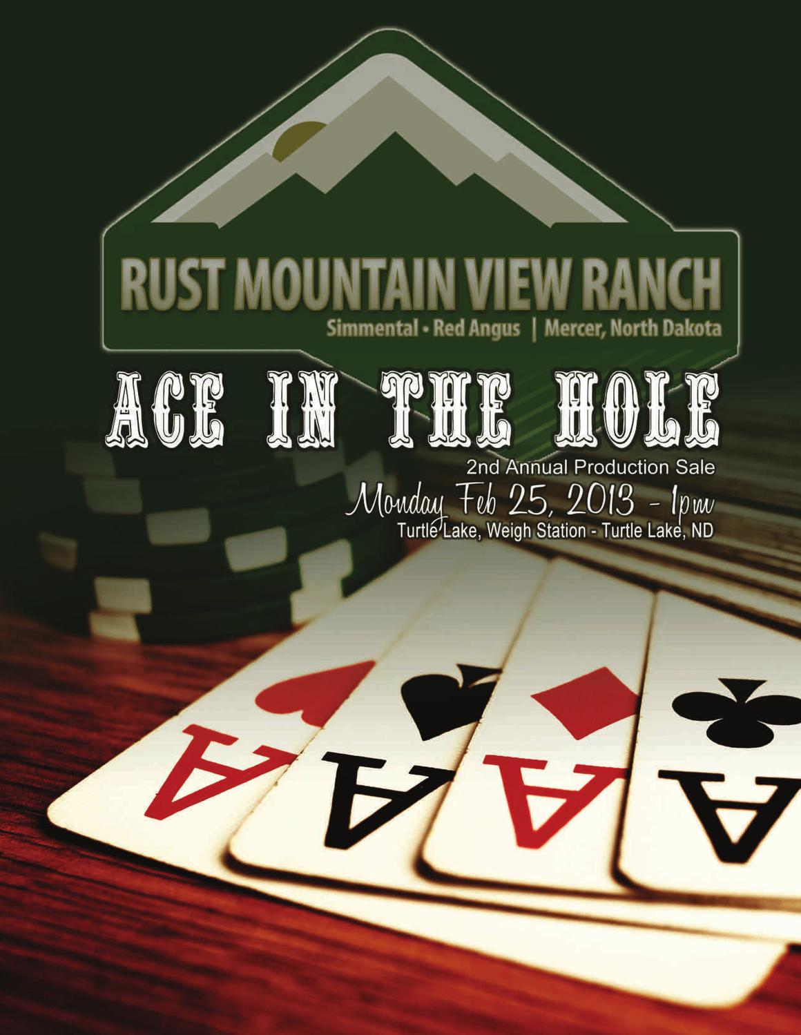Rust Mountain View Ranch's Ace in the Hole Sale by Cam Fagerhaug - Issuu