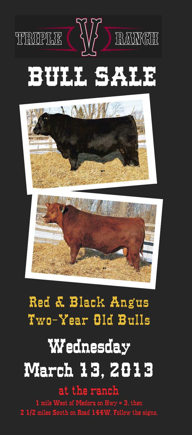 Triple V Ranch Bull Sale 2013 by Everything Angus - Issuu