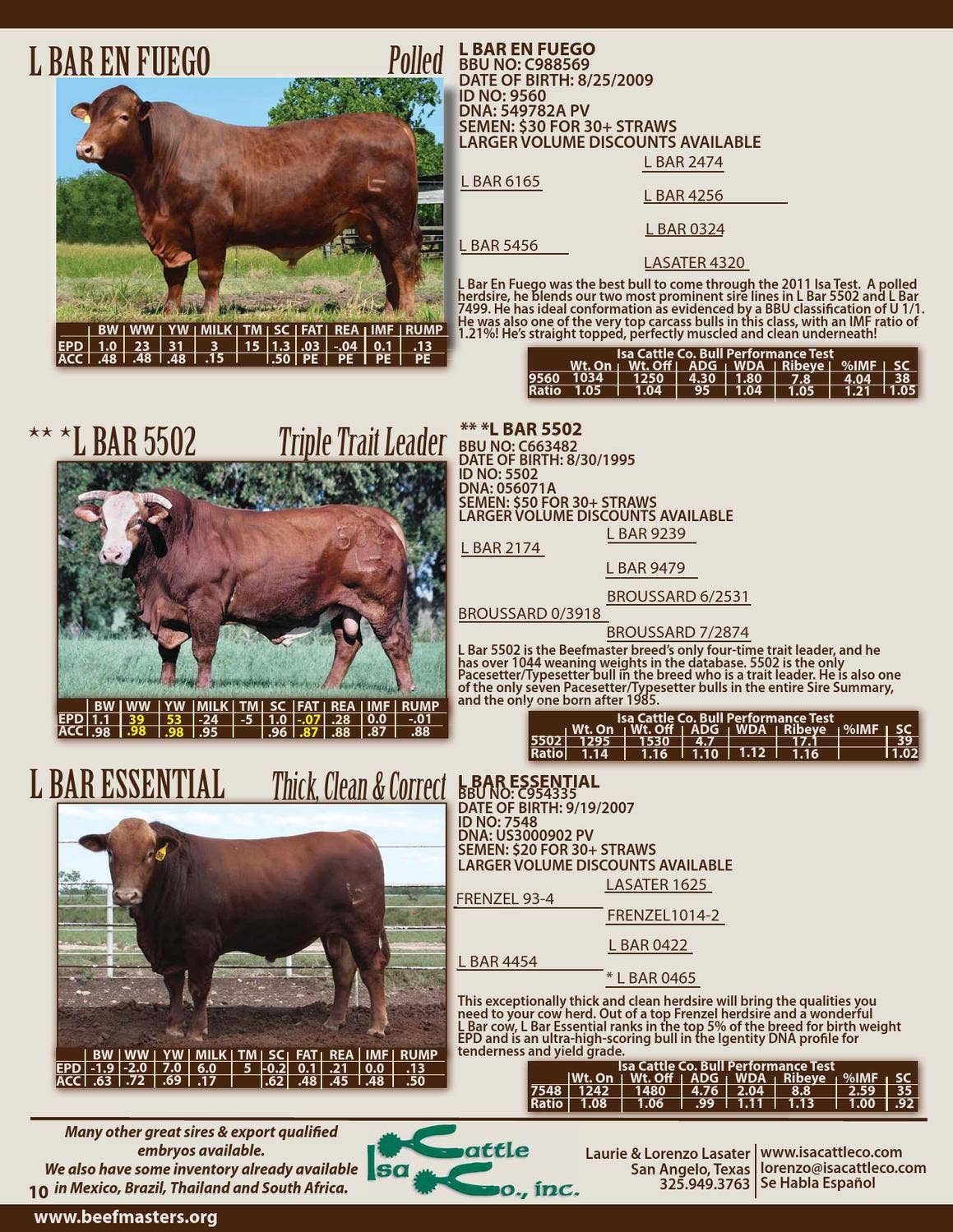 2013 International Semen & Embryo Directory by Beefmaster Breeders ...