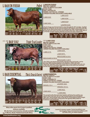 2013 International Semen & Embryo Directory by Beefmaster Breeders ...