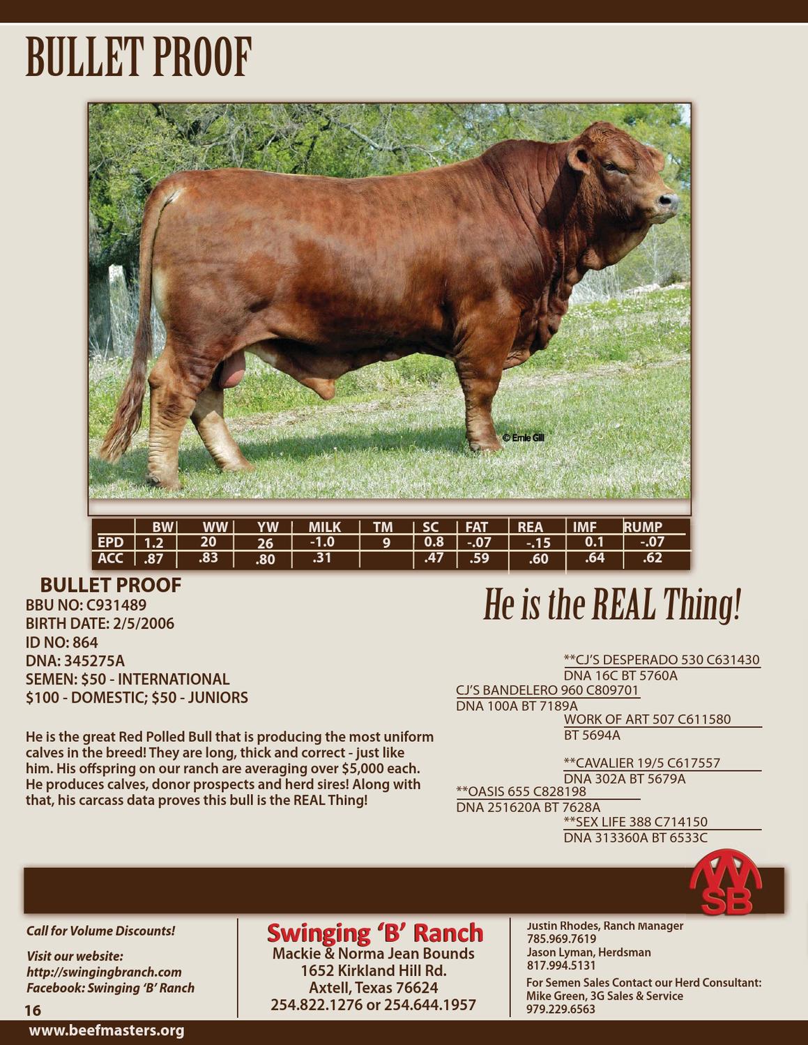 2013 International Semen & Embryo Directory by Beefmaster Breeders ...