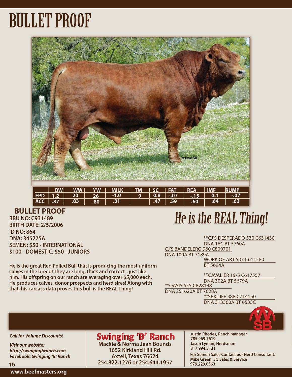 2013 International Semen & Embryo Directory by Beefmaster Breeders ...