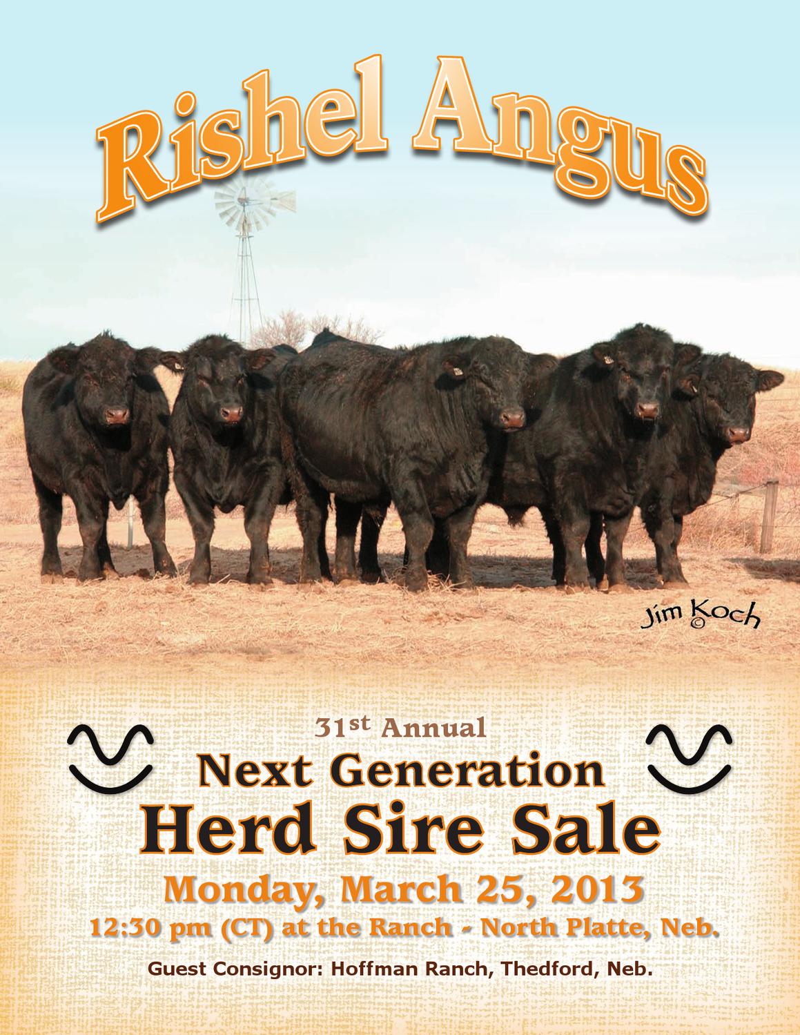 Rishel Angus - 31st Annual Next Generation Bull Sale by LivestockDirect ...