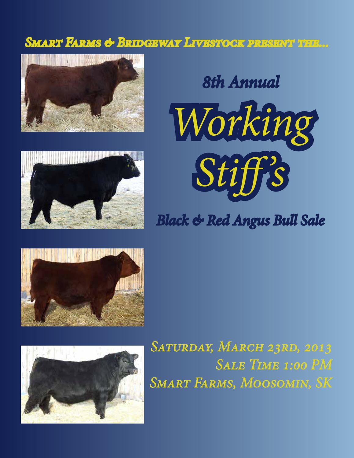 Working Stiff's Bull Sale 2013 by Everything Angus - Issuu