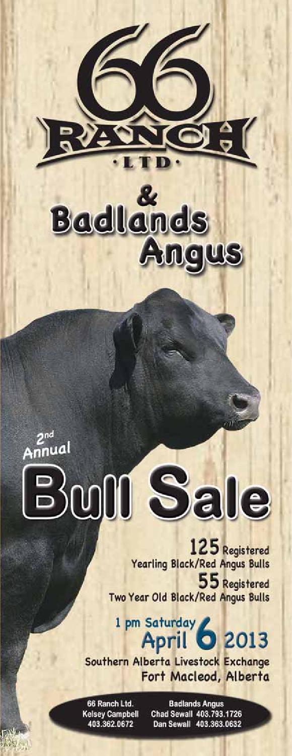 66 Ranch Ltd. & Badlands Angus Bull Sale 2013 by Everything Angus - Issuu