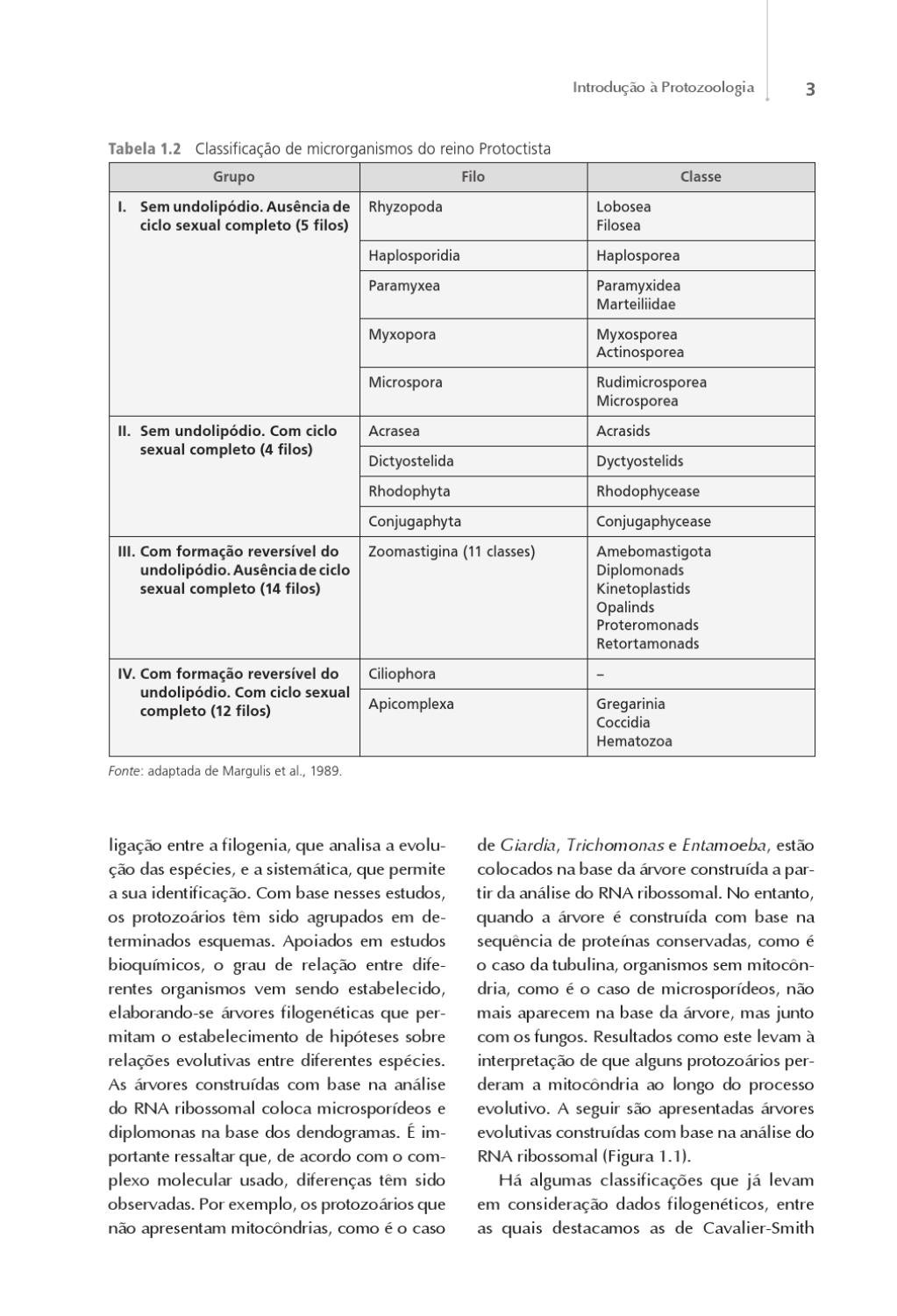 Protozoologia Médica by Editora Rubio - Issuu