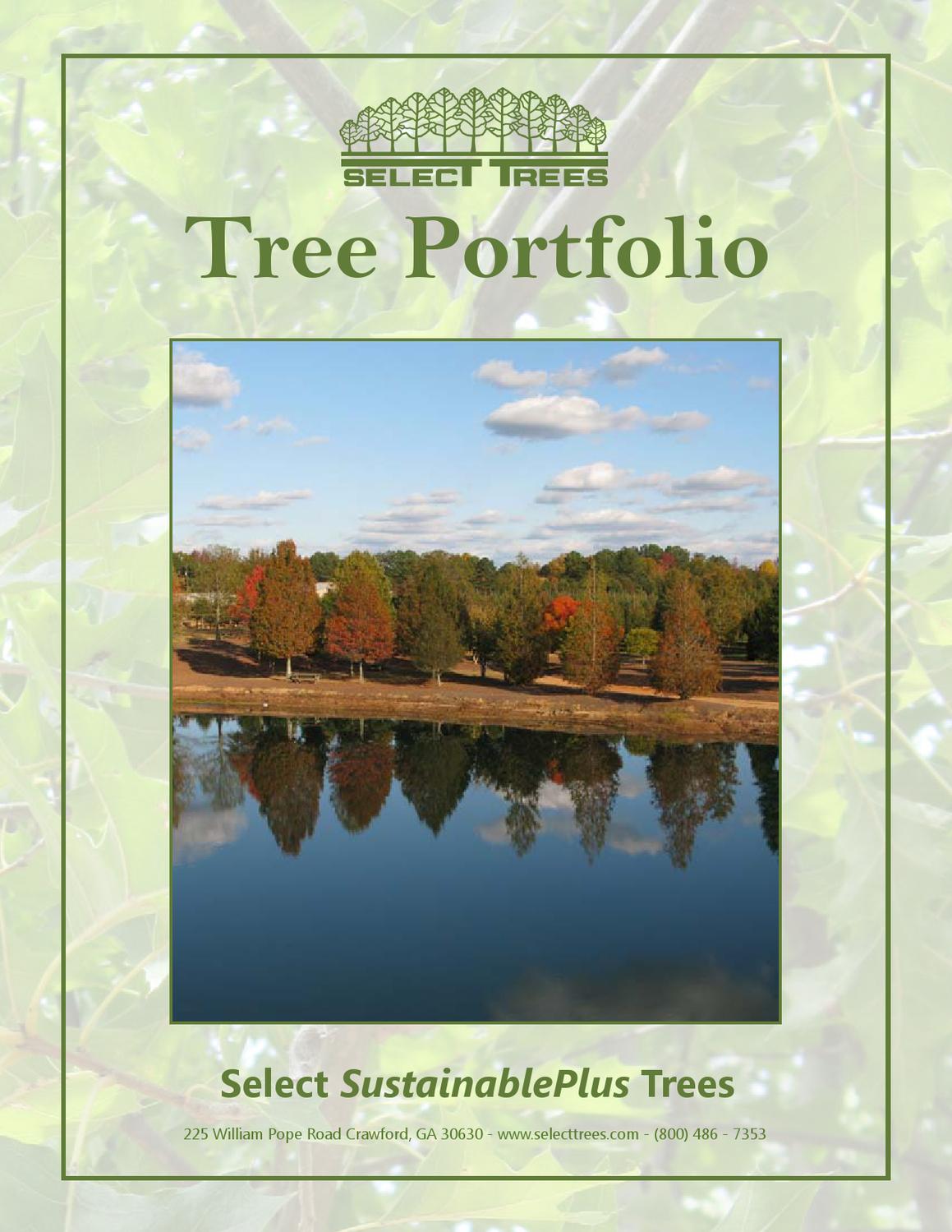 Select Trees Tree Portfolio by Steve Kelleher - Issuu