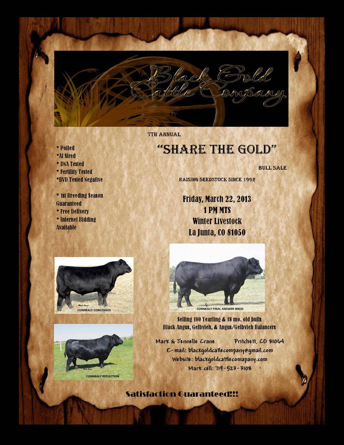 Black Gold Cattle Company - 7th Annual 'Share The Gold' Bull Sale by ...