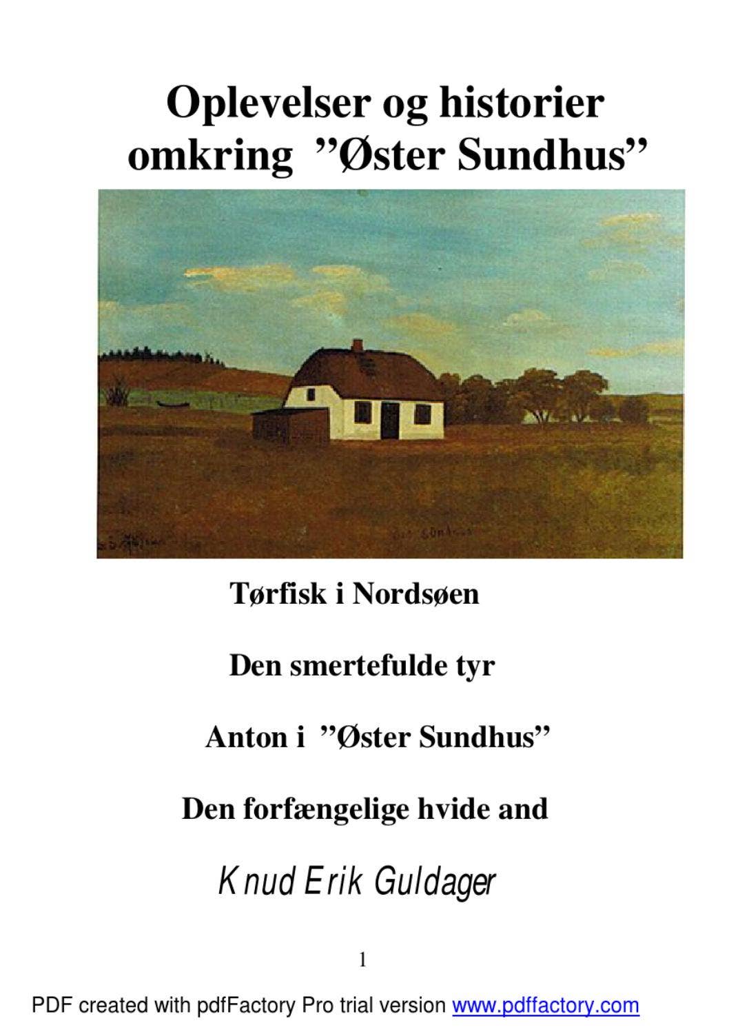 Oplevelser og historier omkring "Øster Sundhus" by Knud Erik Guldager ...