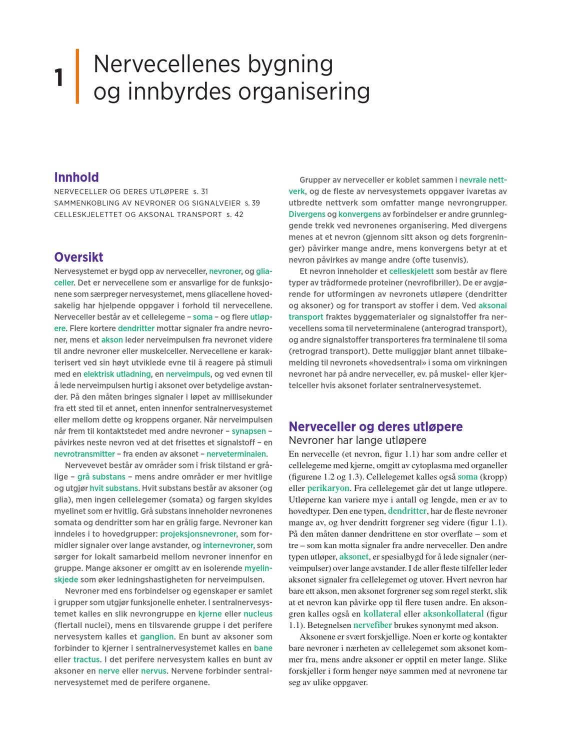 Sentralnervesystemet 5 utgave by Universitetsforlaget - Issuu