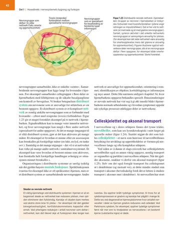Sentralnervesystemet 5 utgave by Universitetsforlaget - Issuu