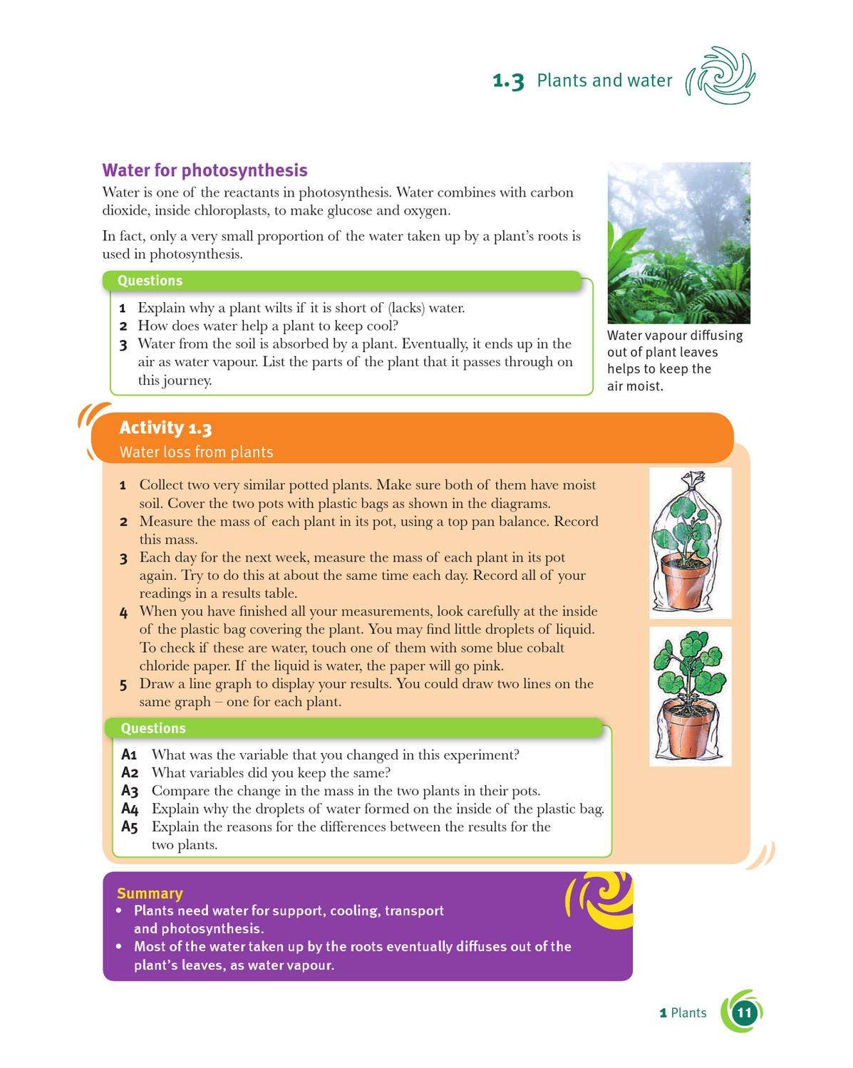 Cambridge Checkpoint Science Coursebook 9 by Cambridge International ...
