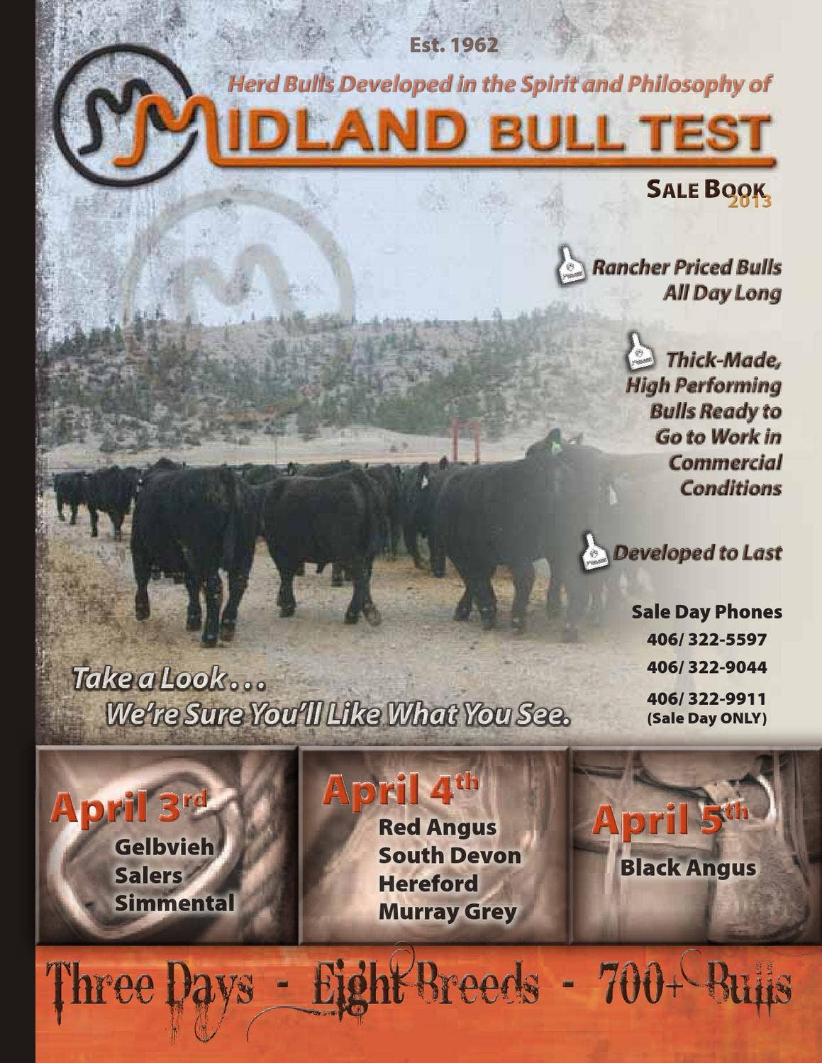 2013 Midland Bull Test Gelbvieh by American Gelbvieh Association - Issuu