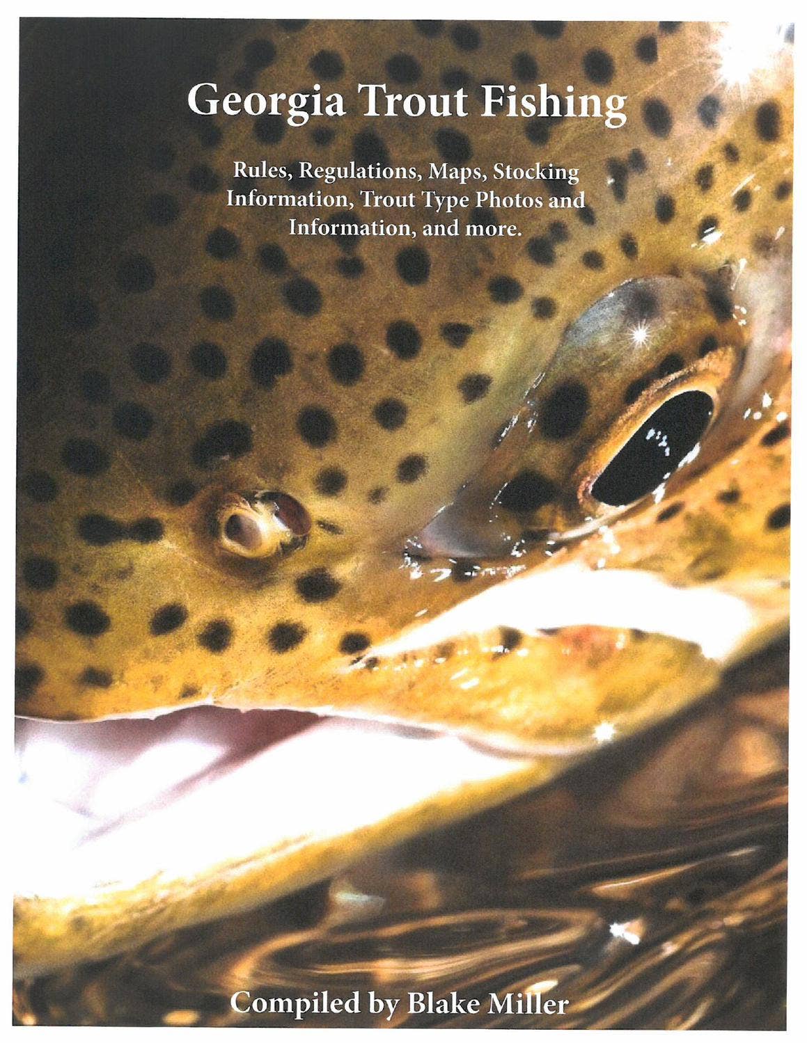 Georgia Trout & Maps by Steve Kelleher - Issuu