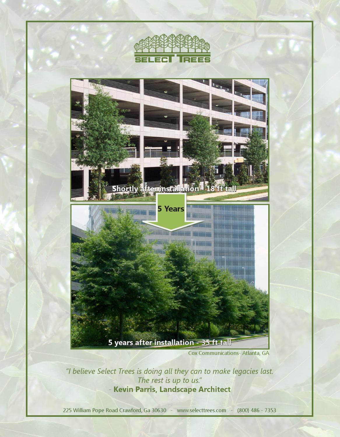 STI Portfolio by Steve Kelleher - Issuu