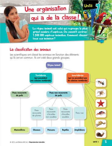 BIZZ ! 4e année by Les Éditions CEC - Issuu