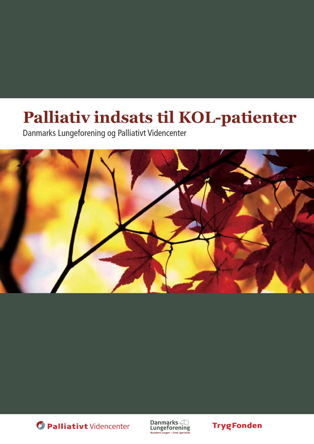 Rapport om palliativ indsats til KOL-patienter by Lungeforeningen - Issuu