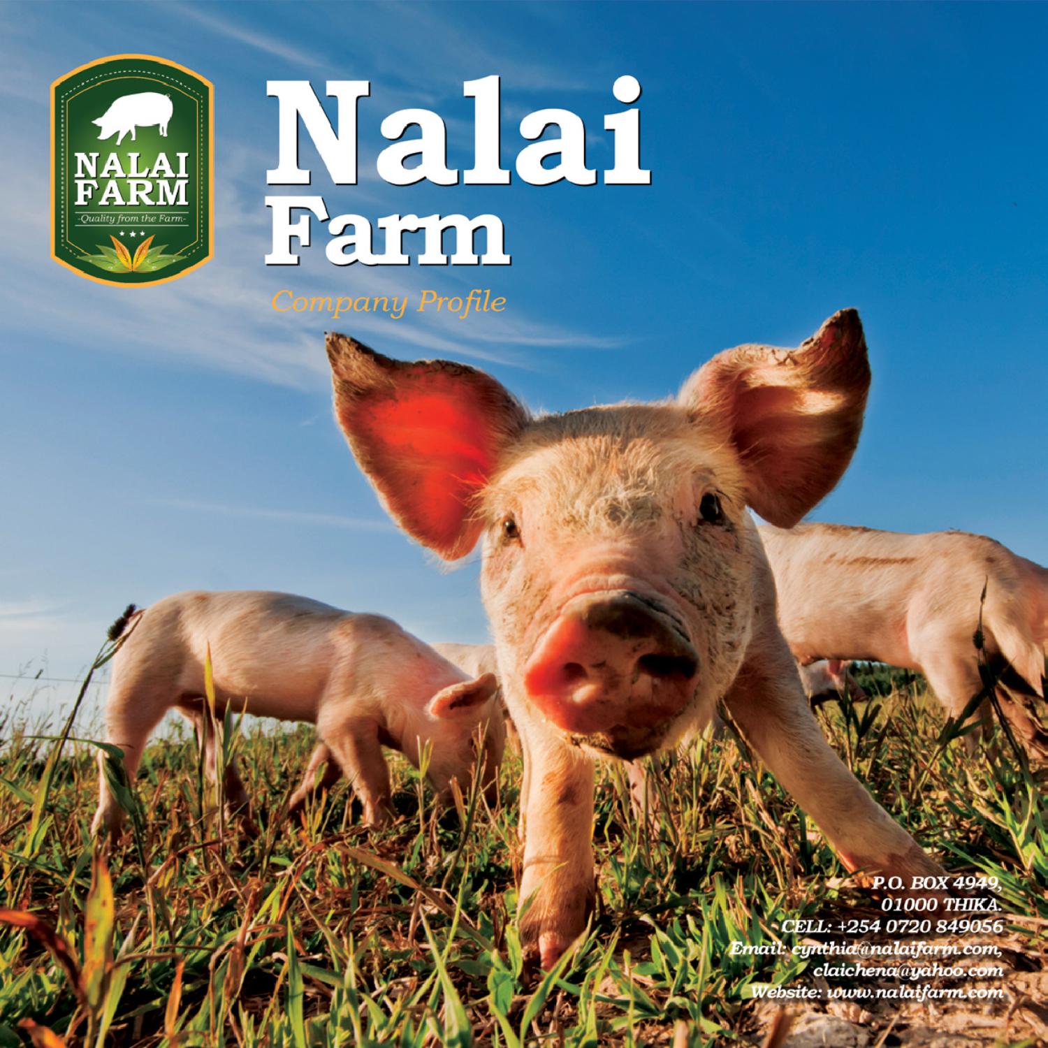 Nalai farm Profile by Josphat Kimani - Issuu