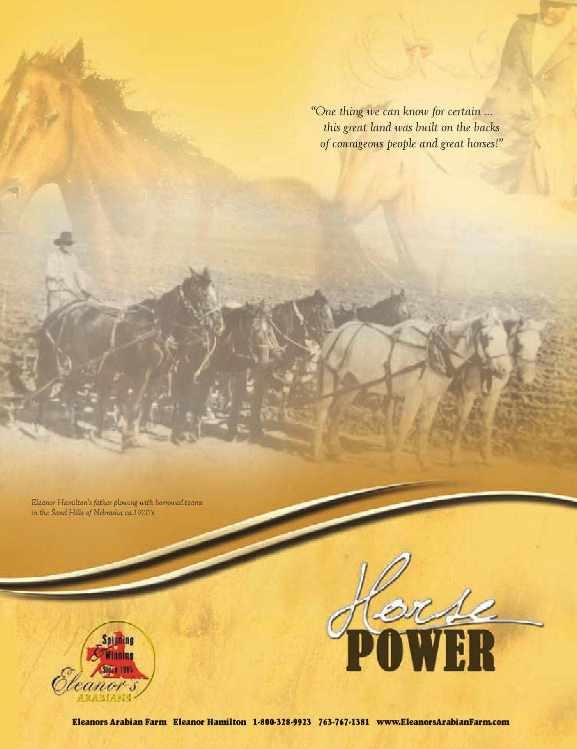 Eleanor's Arabian Farm by Arabian Horse Times - Issuu