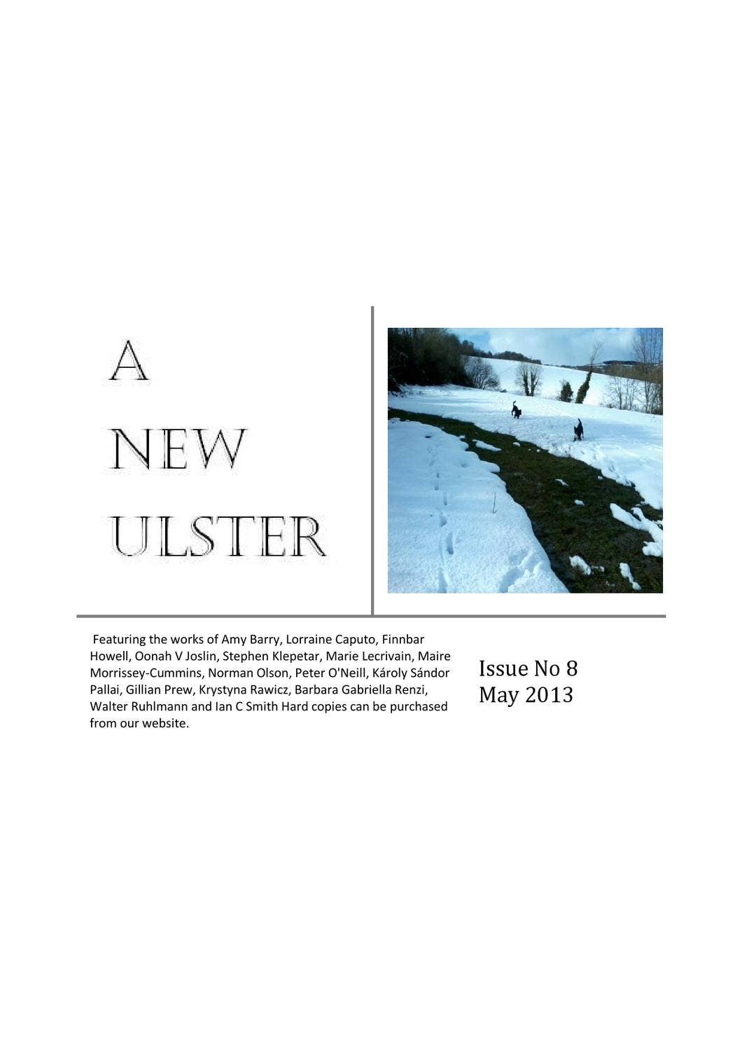 A New Ulster issue 8 by Amos Greig - Issuu