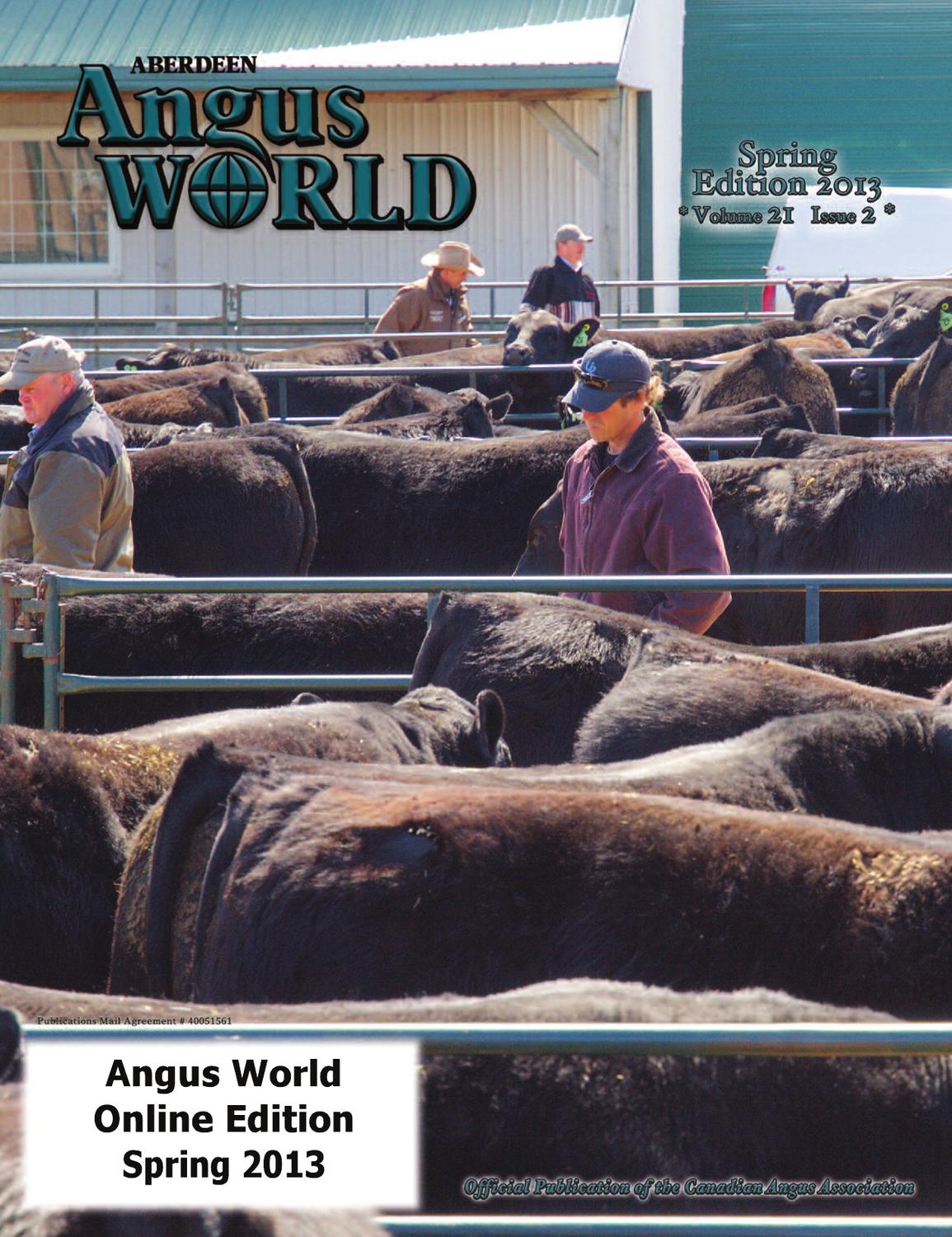 Angus World Spring 2013 by Everything Angus - Issuu