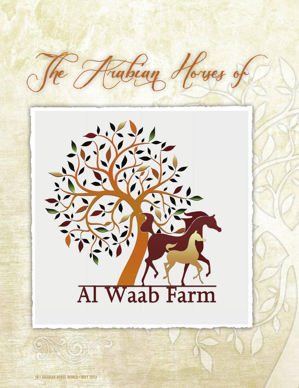 The Arabian Horses of Al Waab Farm by Arabian Horse World - Issuu