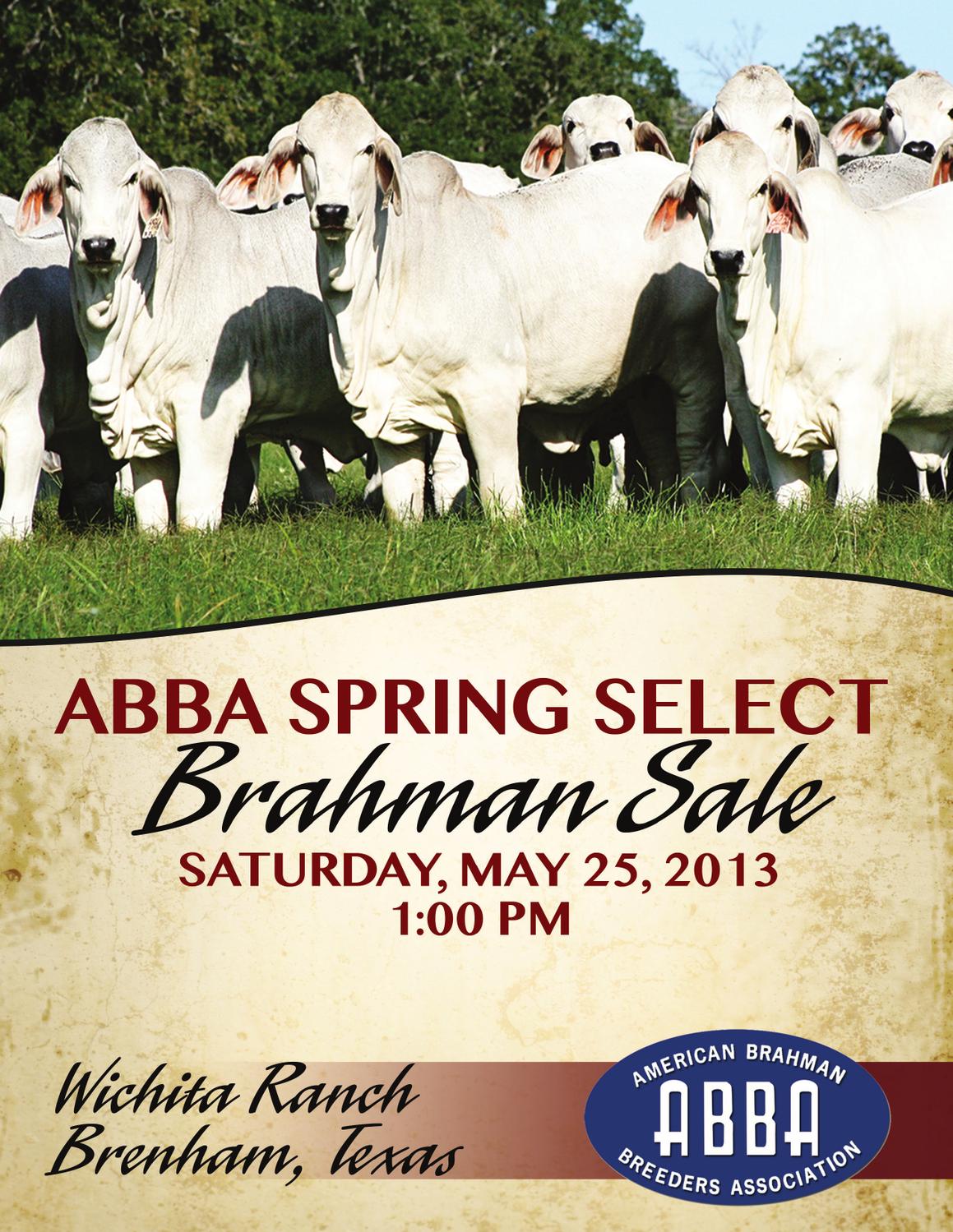 ABBA Brahman Select Sale at Wichita Ranch by Cattle In Motion, LLC - Issuu