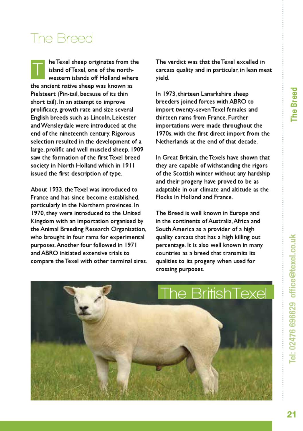 Texel Sheep Society by Texel Sheep Society Ltd - Issuu
