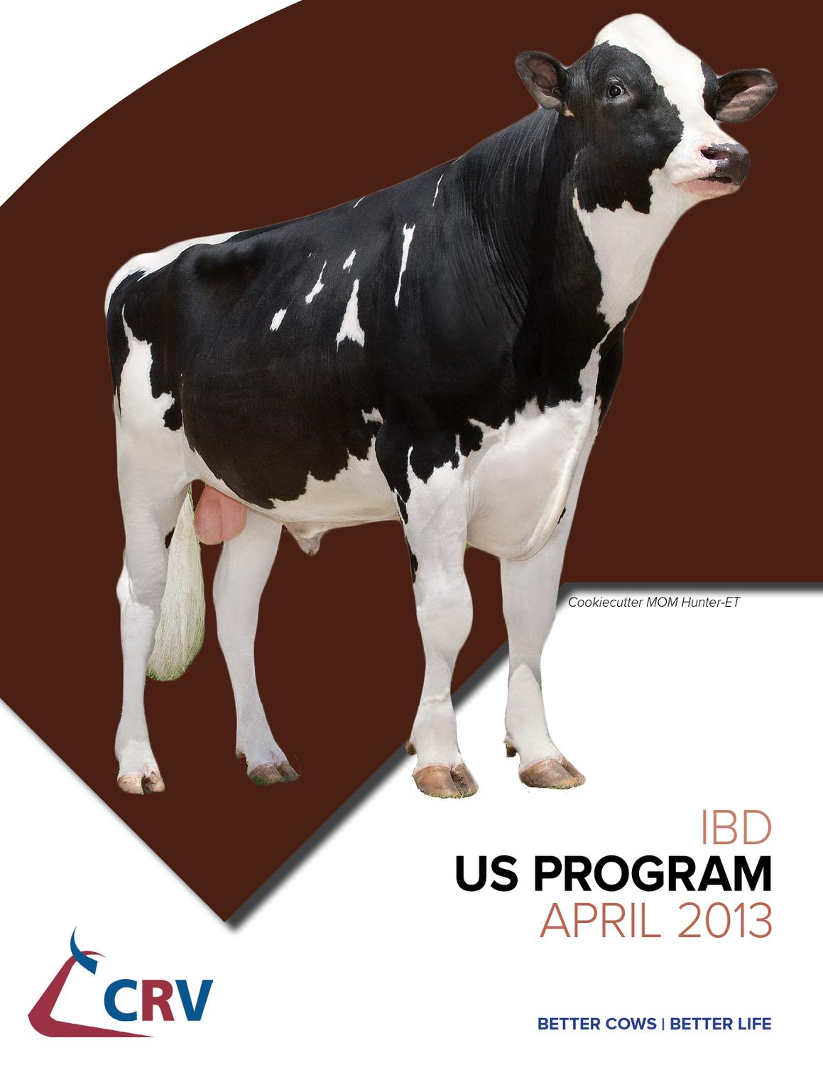 CRV IBD TPI program by CRV Global Sales - Issuu