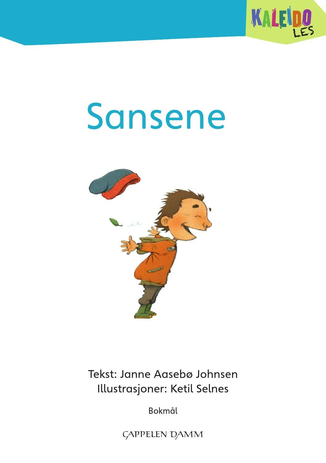 Sansene by Cappelen Damm - Issuu