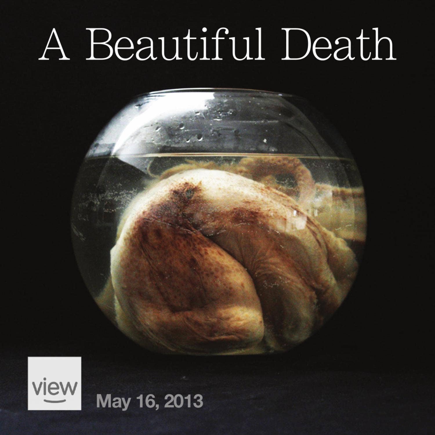 A Beautiful Death by View Art Gallery - Issuu