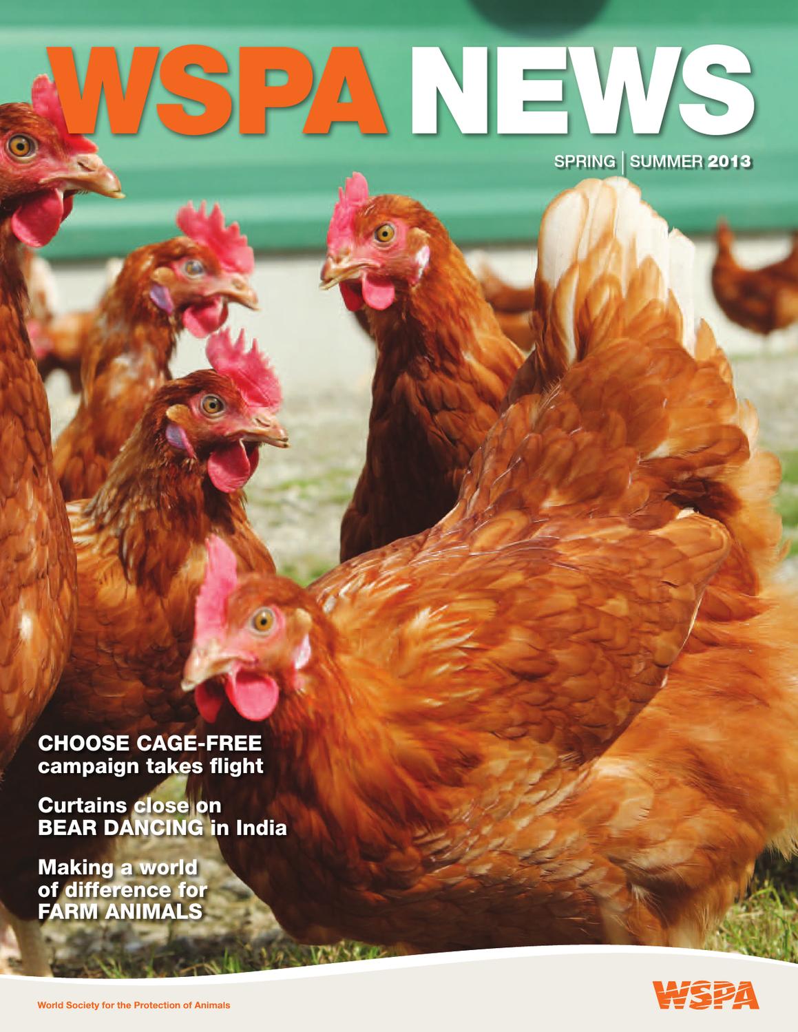 WSPA NEWS - Spring/Summer 2013 by World Animal Protection Canada - Issuu