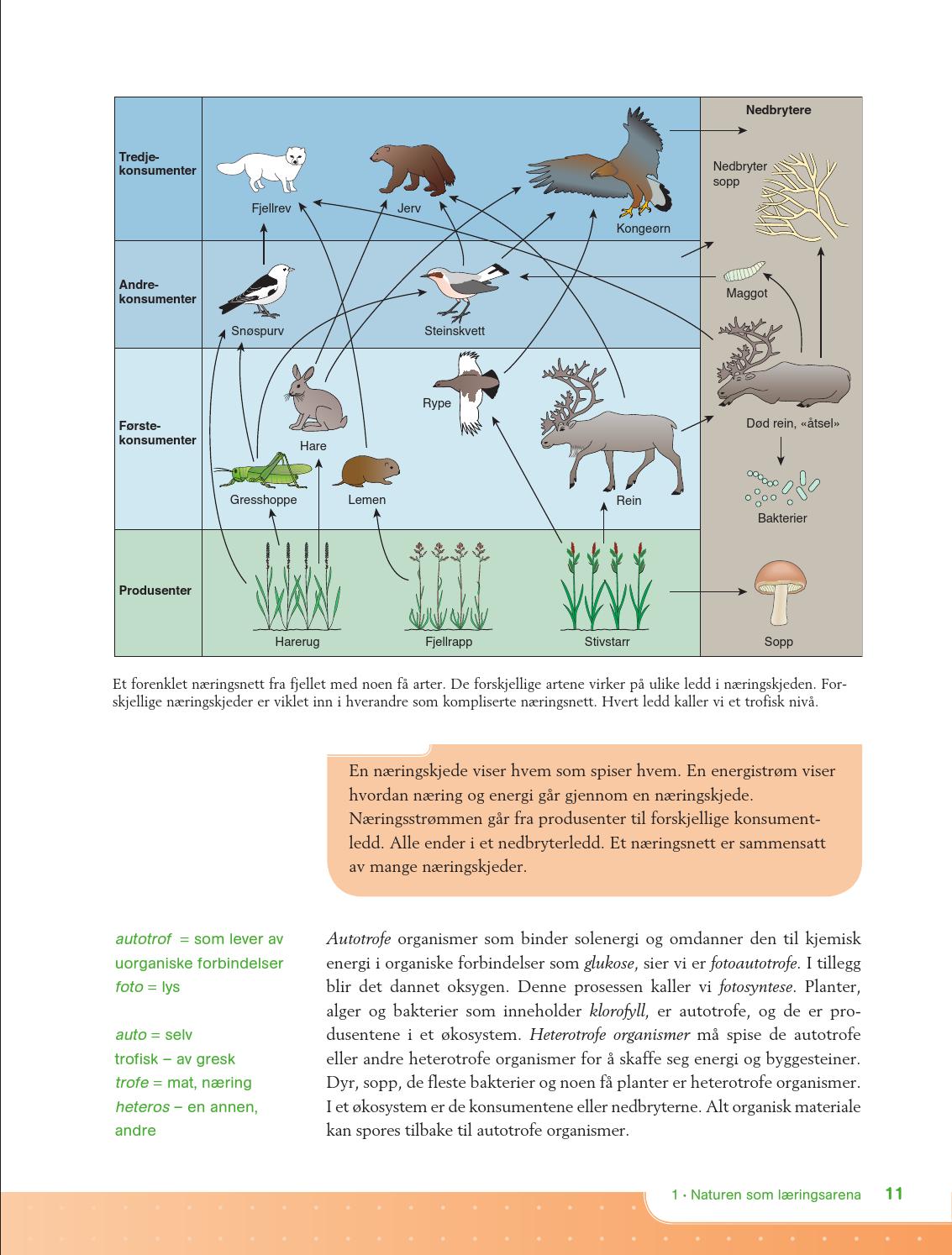 Bios 2 by Cappelen Damm - Issuu