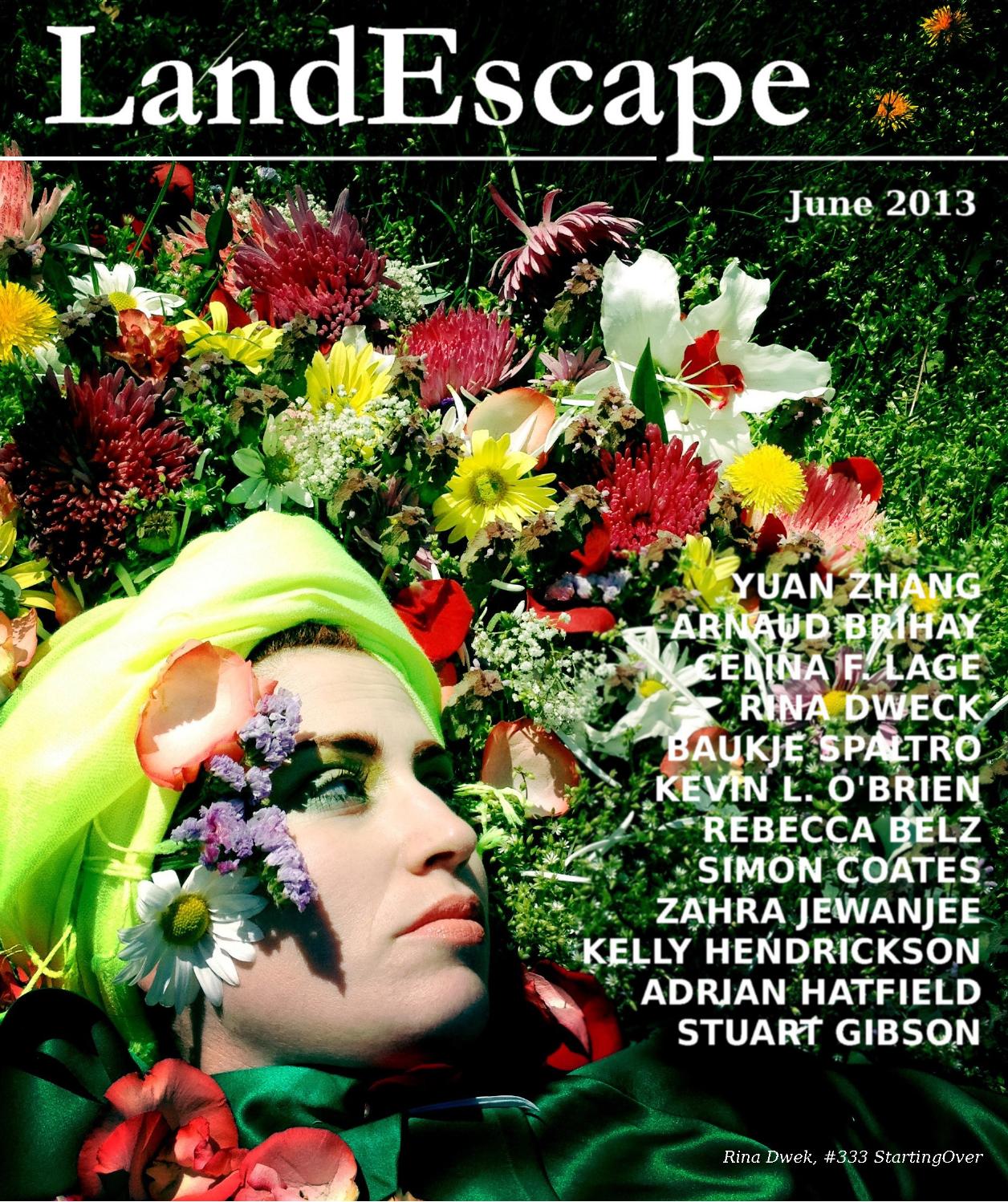 Landescape Art Review - June 2013 by LandEscape Art Review - Issuu