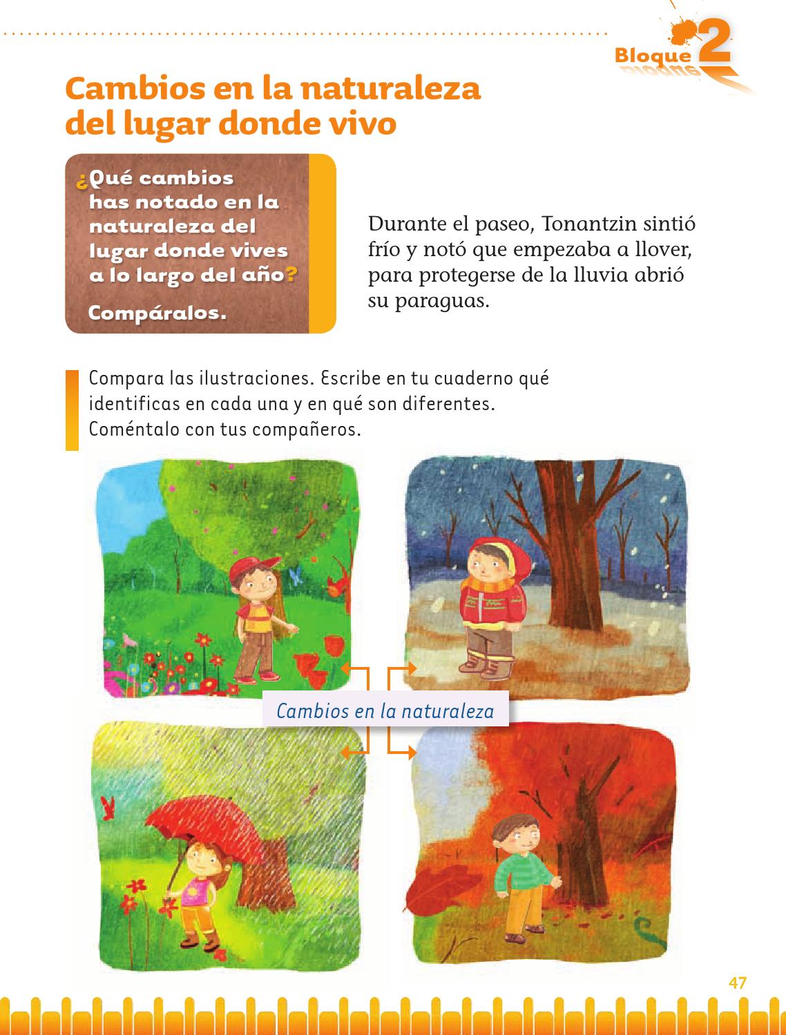 Exploración de la Naturaleza y la Sociedad 1er. Grado by Rarámuri - Issuu