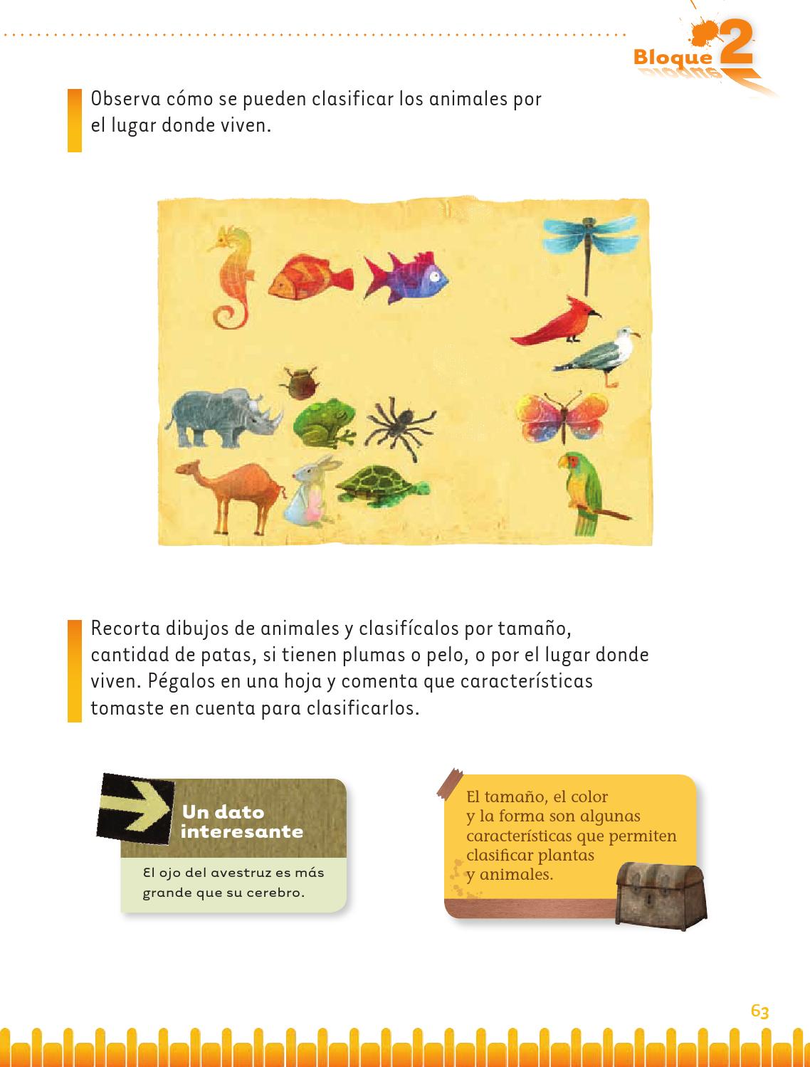 Exploración de la Naturaleza y la Sociedad 1er. Grado by Rarámuri - Issuu