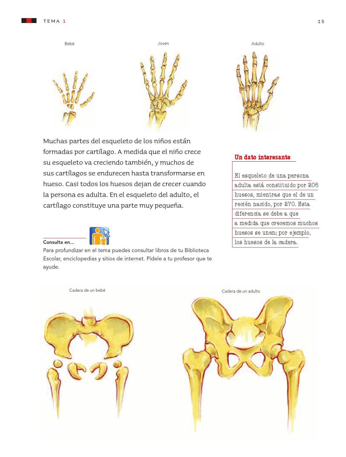 Ciencias Naturales 3er. Grado by Rarámuri - Issuu