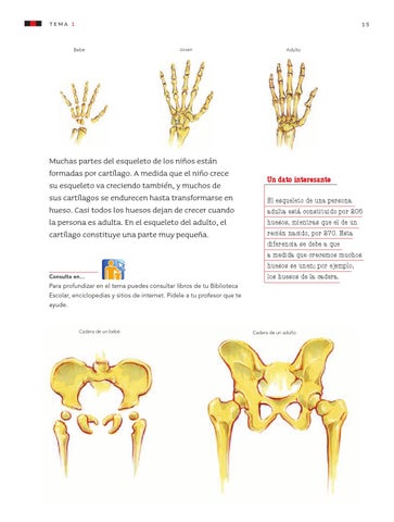 Ciencias Naturales 3er. Grado by Rarámuri - Issuu